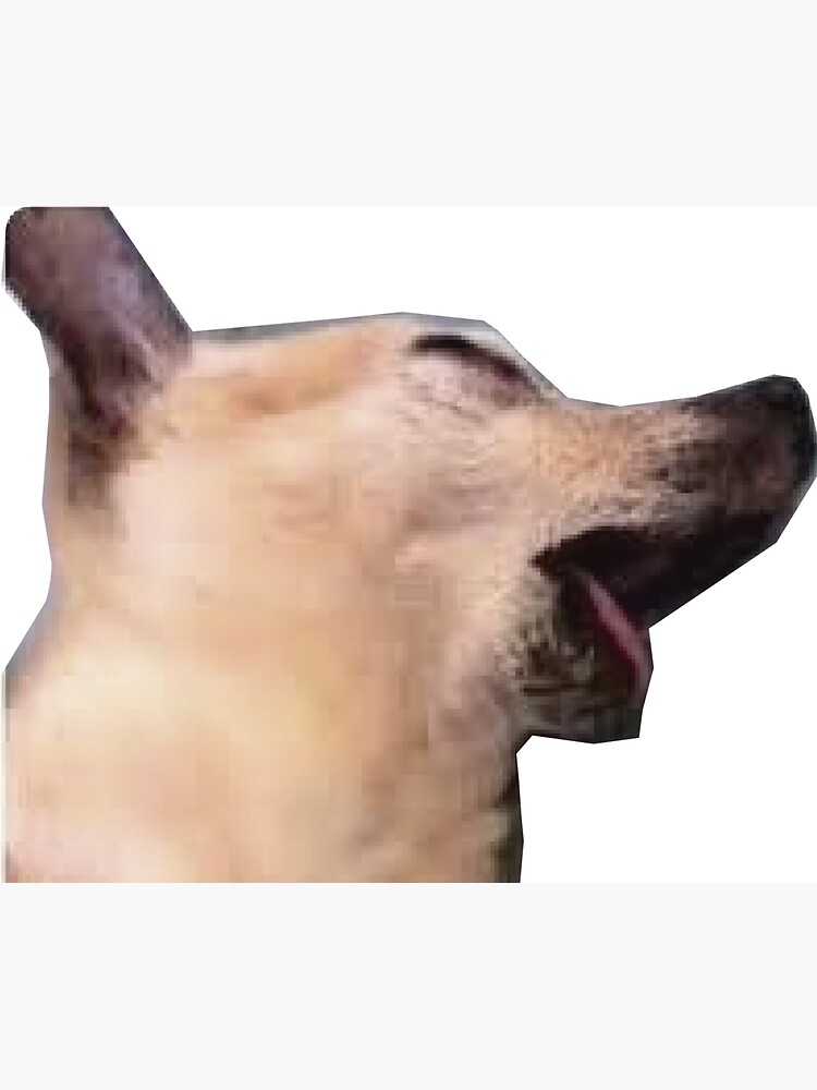 Cara De Meme Durmiendo