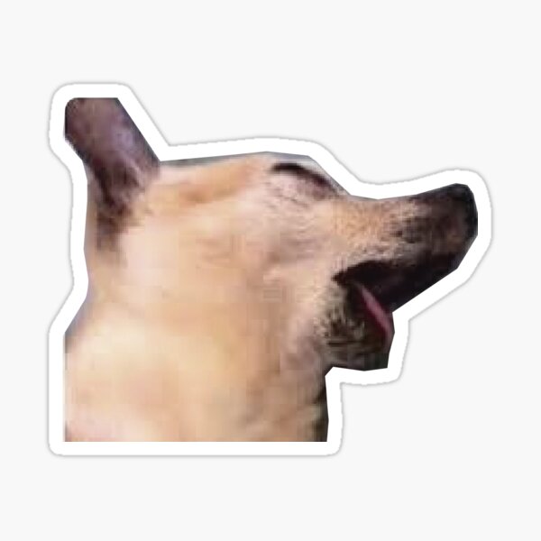 "chihuahua dog sleeping / playing dead meme" Sticker by m-1143 | Redbubble