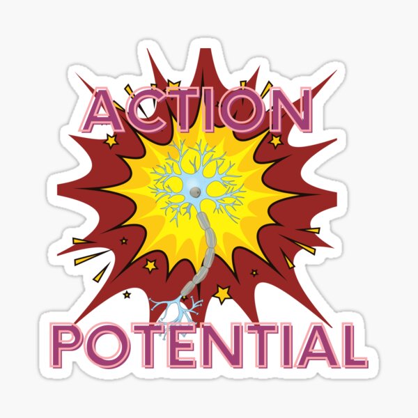 "Action potential" Sticker for Sale by IMPHD | Redbubble