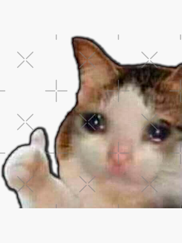 "Crying cat" Sticker for Sale by simasgs | Redbubble