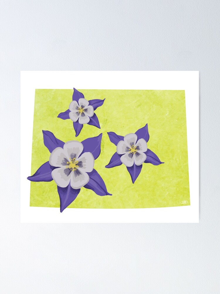 "Colorado Columbine" Poster for Sale by Lavenderbuttons | Redbubble