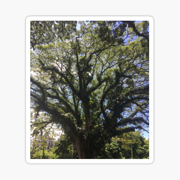 "Shade" Sticker by Corner21 | Redbubble