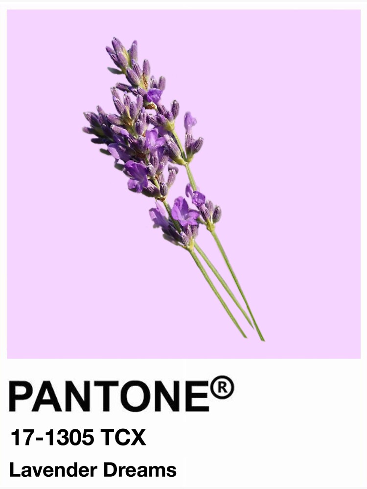 "Lavender Pantone" Sticker by happysundrop | Redbubble