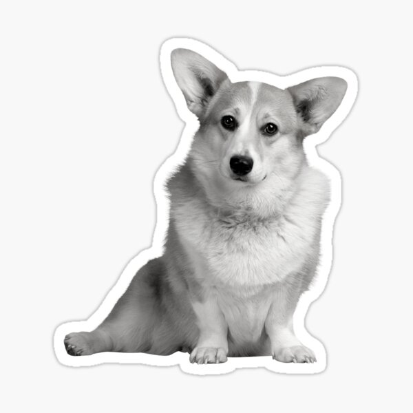 "Corgi " Sticker for Sale by NikkiD8 | Redbubble