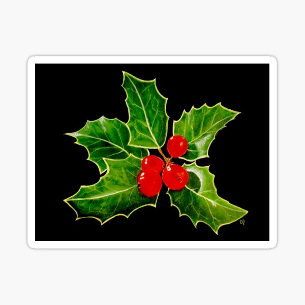 "Holly" Sticker for Sale by PaintedbyCarol | Redbubble