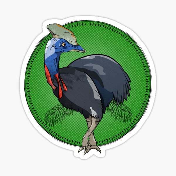 "Cassowary " Sticker by piedaydesigns | Redbubble