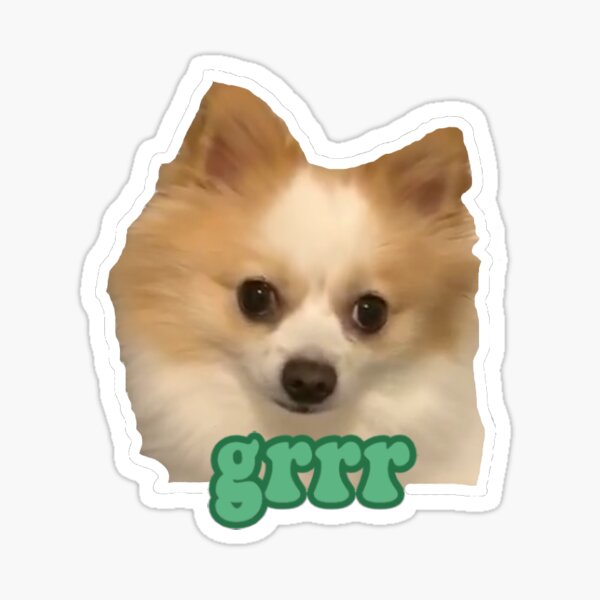 "cute dog grrr sticker " Sticker for Sale by emxboutiques | Redbubble