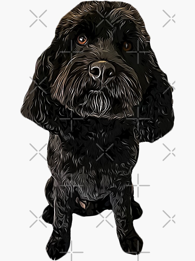 "Cockapoo Cavapoo Black Puppy Dog" Sticker for Sale by Elarex | Redbubble
