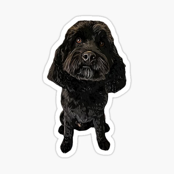 "Cockapoo Cavapoo Black Puppy Dog" Sticker for Sale by Elarex | Redbubble