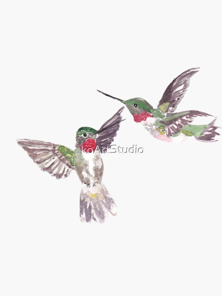 "Ruby neck Hummingbirds" Sticker for Sale by koArtStudio | Redbubble
