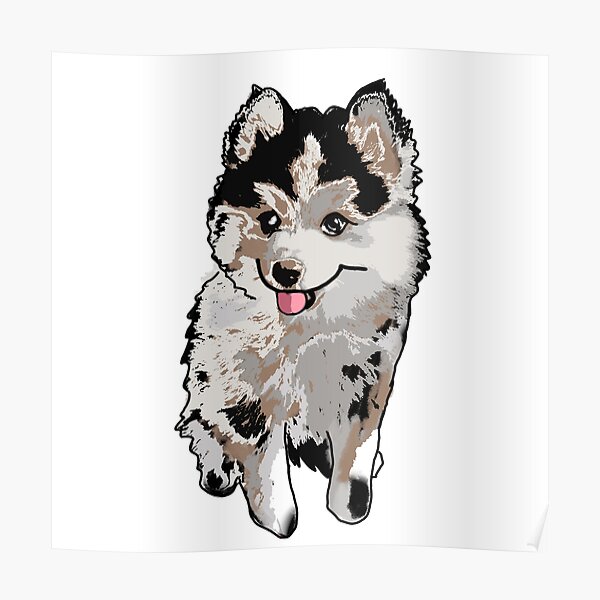 "Cute Pomsky Puppy" Poster for Sale by atipro | Redbubble