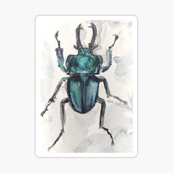 Sticker « Insectes et punaises de coléoptères majeurs bleus », par ...