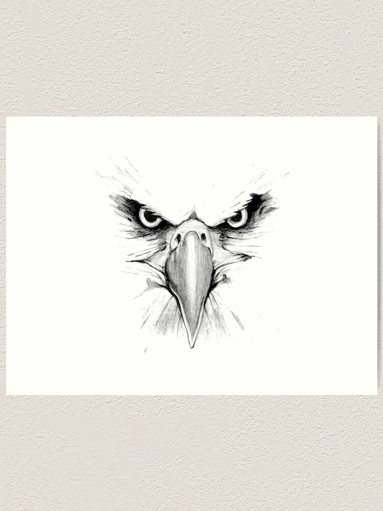 Eagle Face Drawing