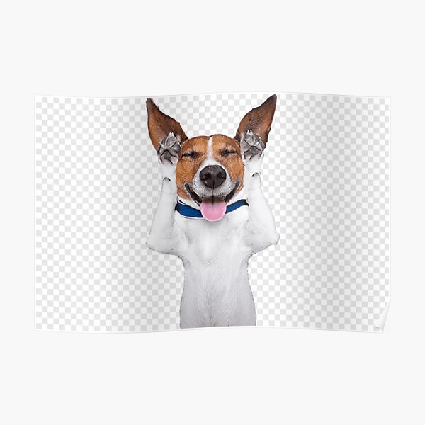 "Jack Russell Terrier Hund lustig" Poster von Coolstuff4you71 | Redbubble