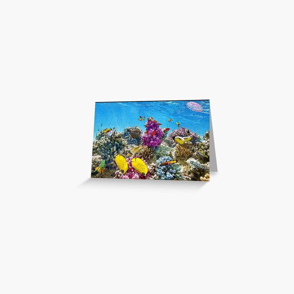 "Coral reefs and fish vectorized" Greeting Card for Sale by ...