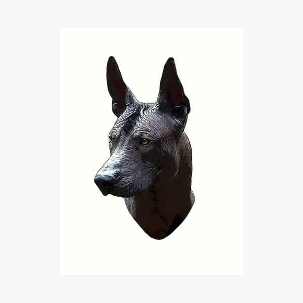 "Xoloitzcuintle Xolo Mexican Hairless Dog" Art Print by ElegantCat ...