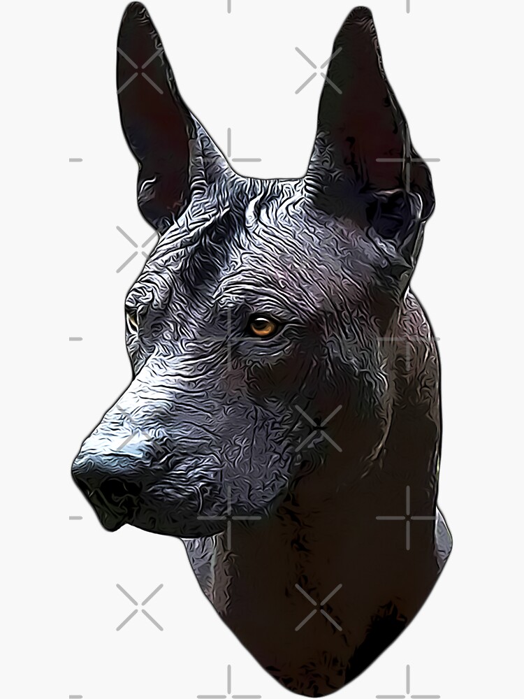 "Xoloitzcuintle Xolo Mexican Hairless Dog" Sticker for Sale by ...