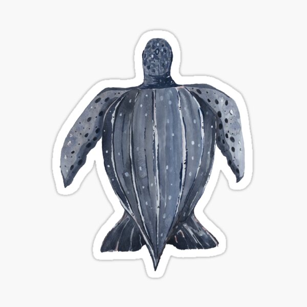 "LeatherbackTurtle Watercolour" Sticker for Sale by KalilArt | Redbubble