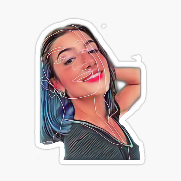 "Charli sticker and more" Sticker for Sale by Kyla00123 | Redbubble
