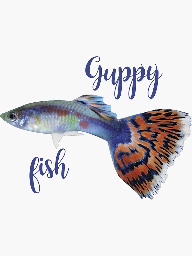 "Guppy fish" Sticker by shirteez | Redbubble