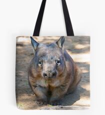 Wombat: Gifts & Merchandise | Redbubble