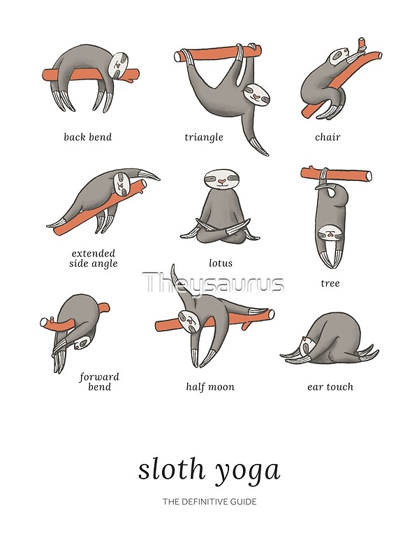 "Sloth Yoga - The Definitive Guide" by Theysaurus | Redbubble