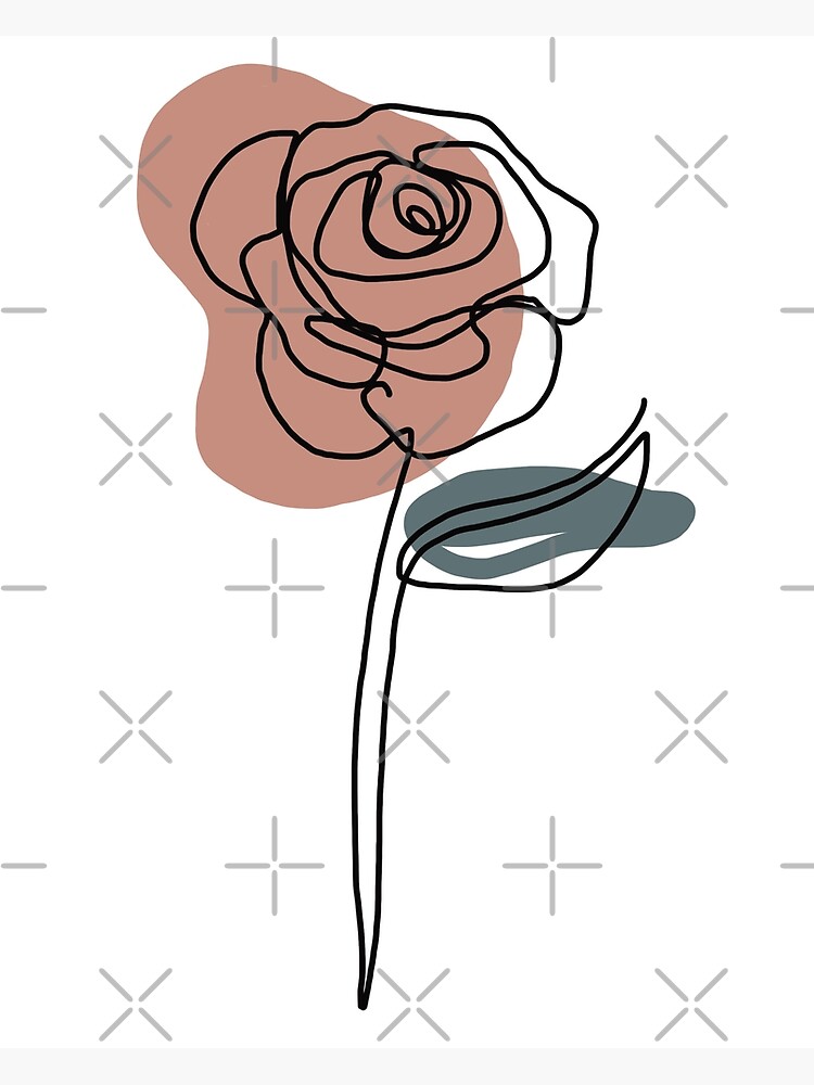 "Dusky Blush Rose Line Art" Poster by Pinkmagenta | Redbubble