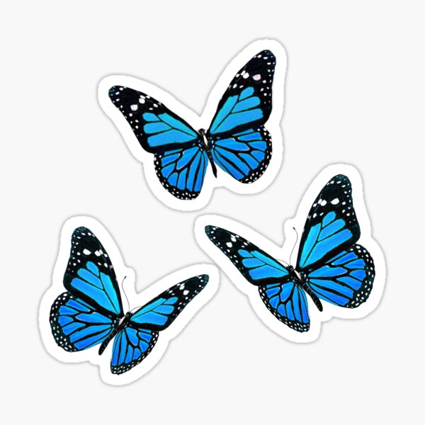 "Blue monarch butterfly pack" Sticker for Sale by Zippolighter | Redbubble