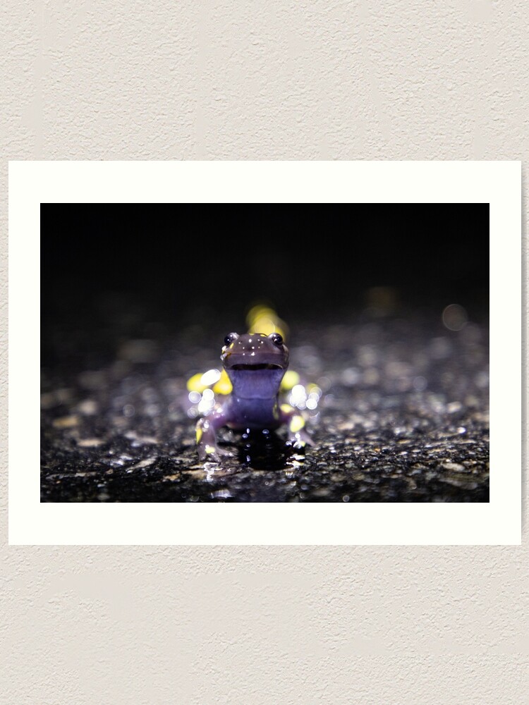 "Mr. Mander" Art Print by Gavin-Wild | Redbubble