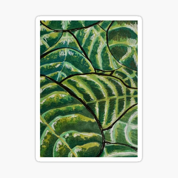 "Fiddle Leaf Fig Leaf" Sticker by acdqn9 | Redbubble