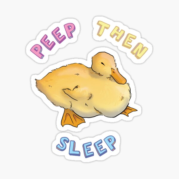 "Peep Then Sleep - Colorful Letters" Sticker for Sale by eleary | Redbubble