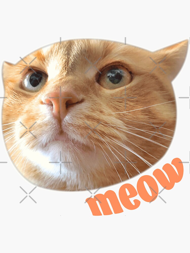 "Meow! Orange Cat" Sticker for Sale by Exor | Redbubble