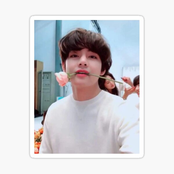 "BTS V Merch" Sticker for Sale by SugarxStar | Redbubble