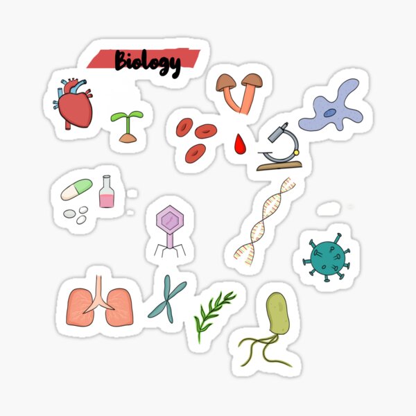 ~ Biology Sticker Pack Sticker For Sale By Sahereative 03 Redbubble