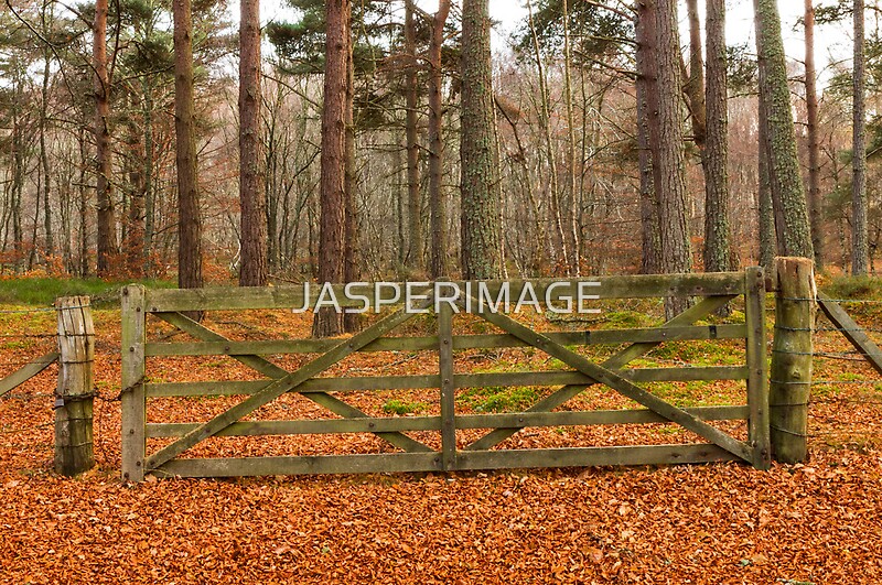 "Elgin, a winter gate." by JASPERIMAGE | Redbubble