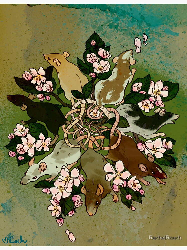 "Dark Spring Rat King" Photographic Print by RachelRoach | Redbubble