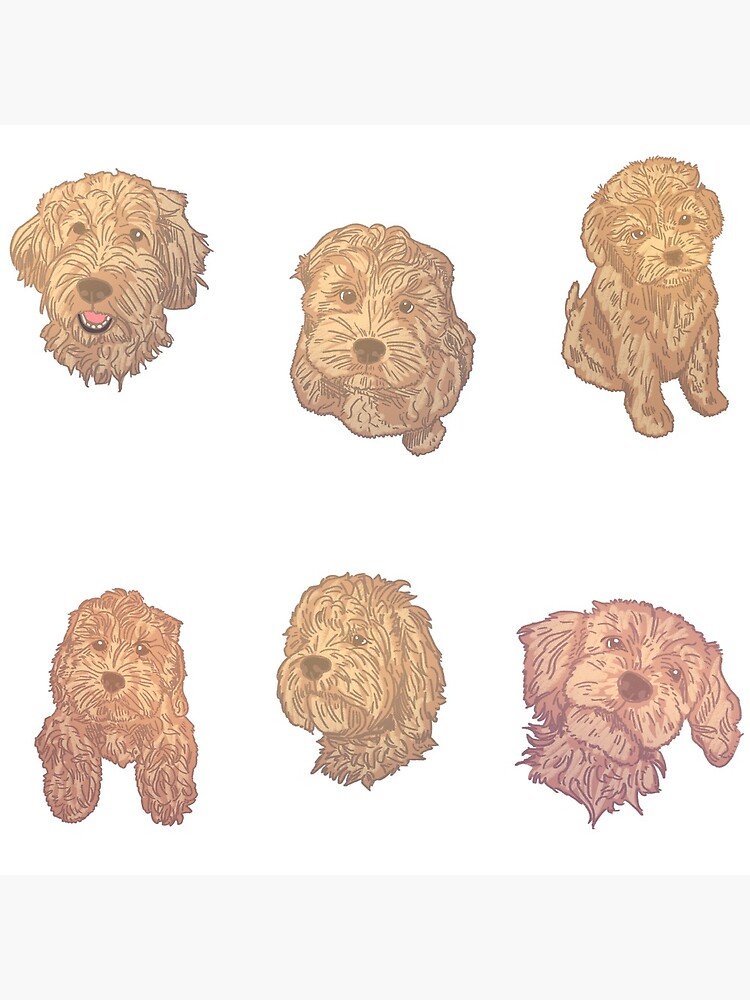 "Six Cockapoo Cute And Sketchy Dog Designs" Poster for Sale by ...