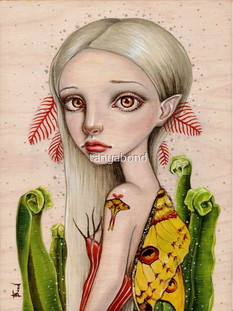 "Comet Moth" Art Print for Sale by tanyabond | Redbubble