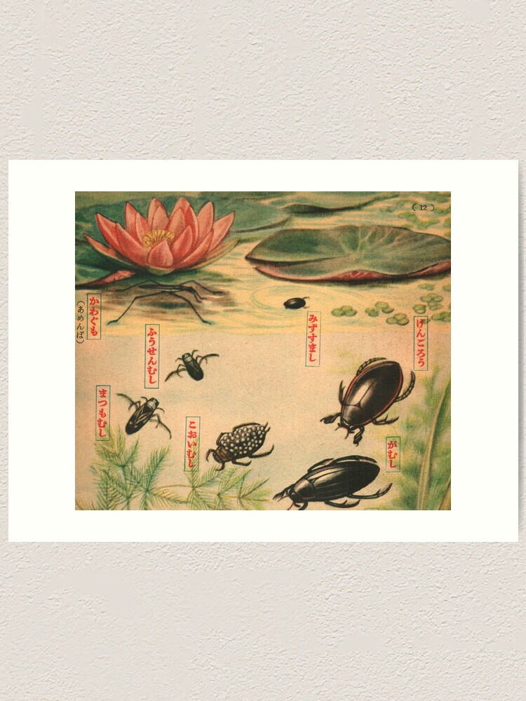 "Japanese Beetle Study - Kawaii Vintage Comic Flora and Fauna" Art ...