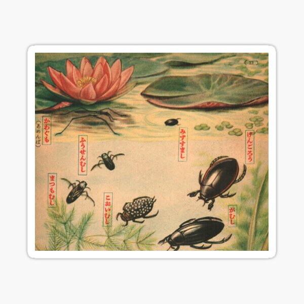 "Japanese Beetle Study - Kawaii Vintage Comic Flora and Fauna" Sticker ...