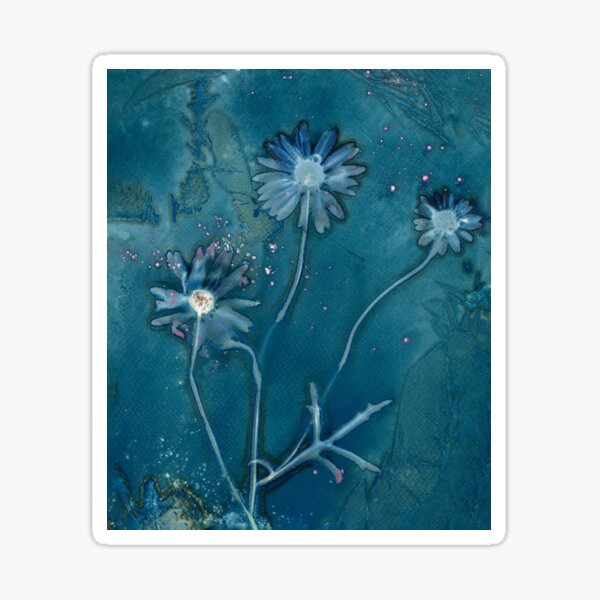 Cyanotype Gifts & Merchandise | Redbubble
