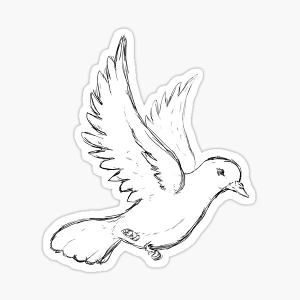 "dove fine drawing lines" Sticker for Sale by calmpath | Redbubble