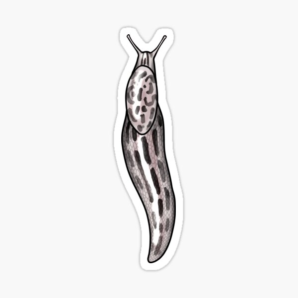 "Limax Slug White" Sticker for Sale by UroliteArt | Redbubble