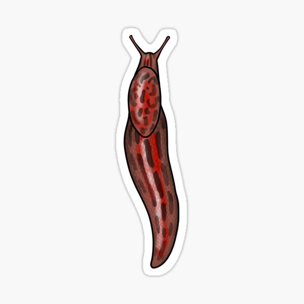 "Limax Slug Red" Sticker for Sale by UroliteArt | Redbubble