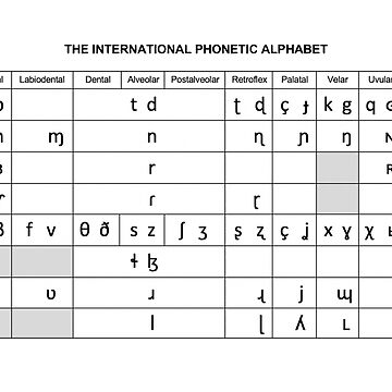 "IPA Chart" Sticker for Sale by Bododobird | Redbubble