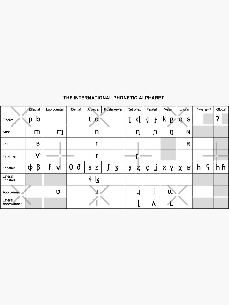 "IPA Chart" Sticker for Sale by Bododobird | Redbubble