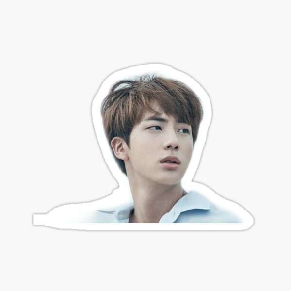 "BTS Jin " Sticker for Sale by jess0515 | Redbubble