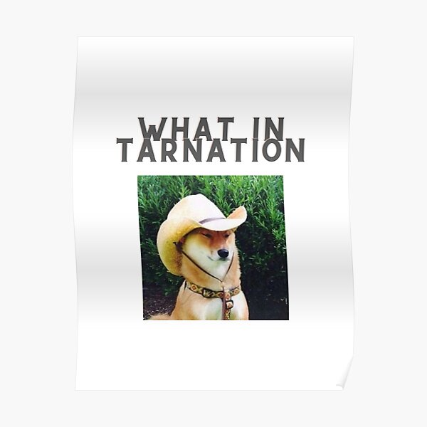 What In Tarnation Posters | Redbubble