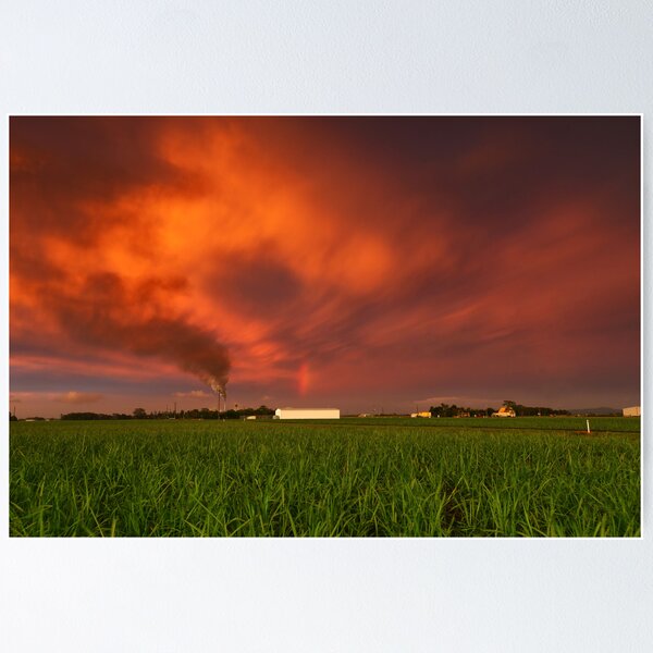 Supercell Merch & Gifts for Sale | Redbubble