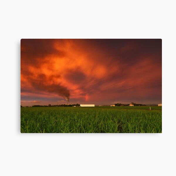 Supercell Merch & Gifts for Sale | Redbubble